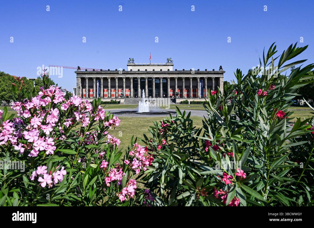 Berlin, Germany. 20th May, 2025. The Altes Museum am Lustgarten in ...