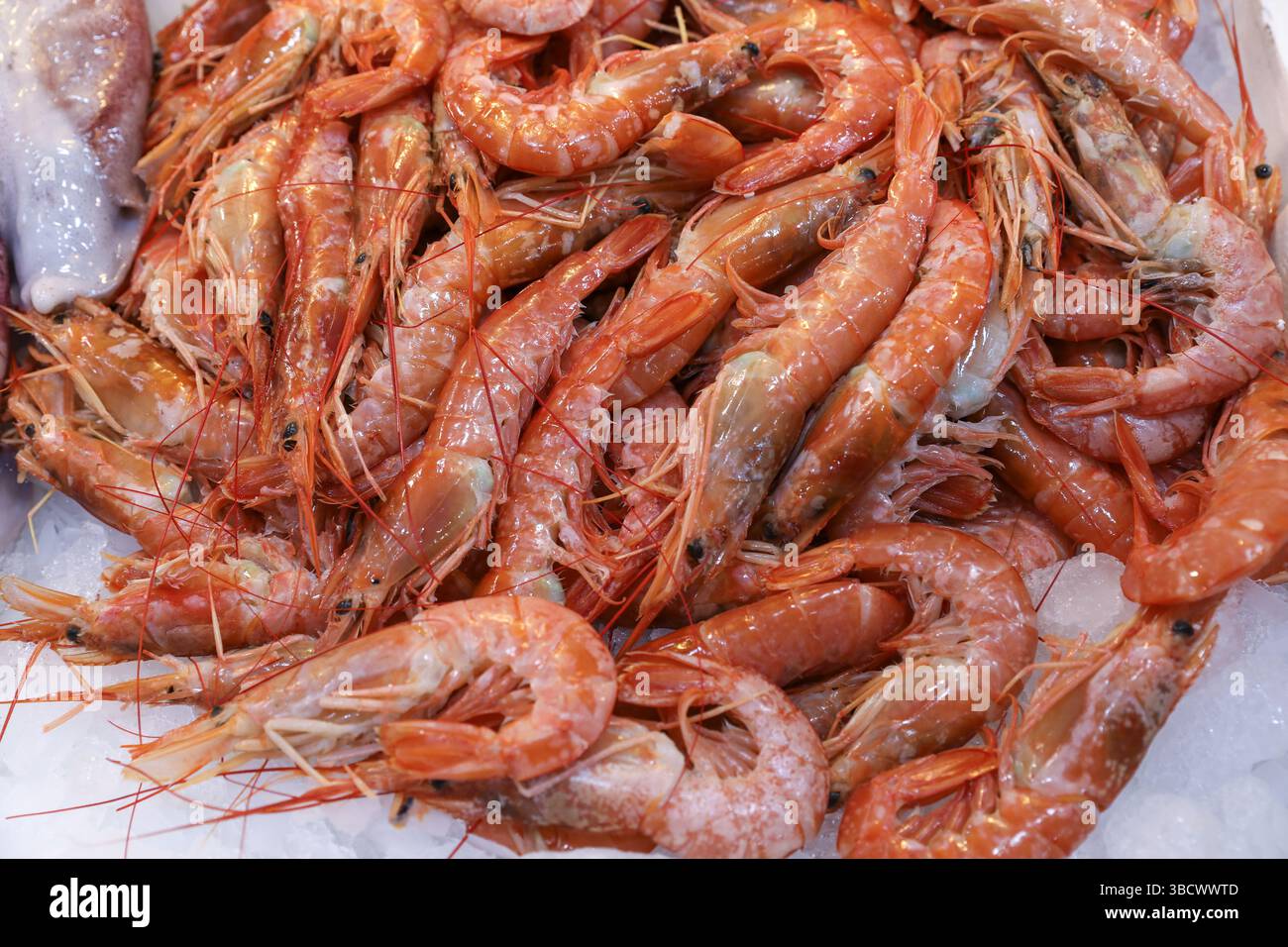 Vibrant seafood at Greek fish market features fresh shrimp piled on ice ...