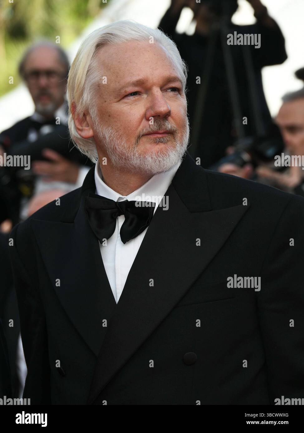 Cannes, 78th Cannes Film Festival 2025 - Evening 9, Red Carpet of the ...