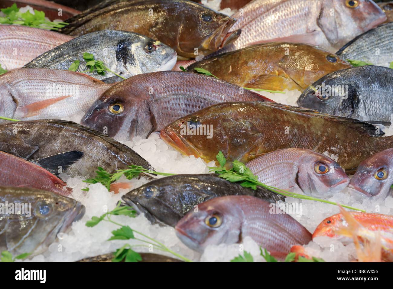 Vibrant fish market showcasing an array of fresh seafood. Customers ...