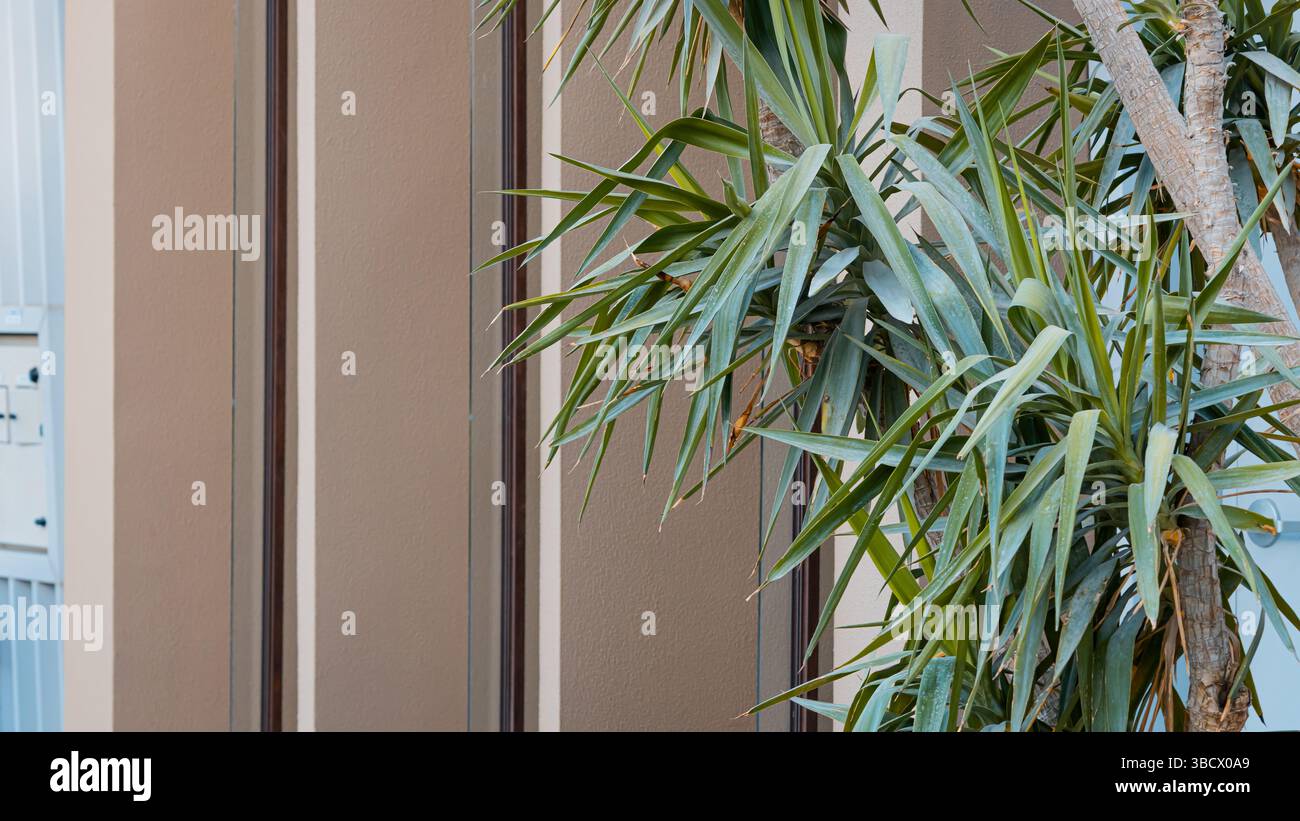 Modern green architecture, Plants beside building. High quality photo ...