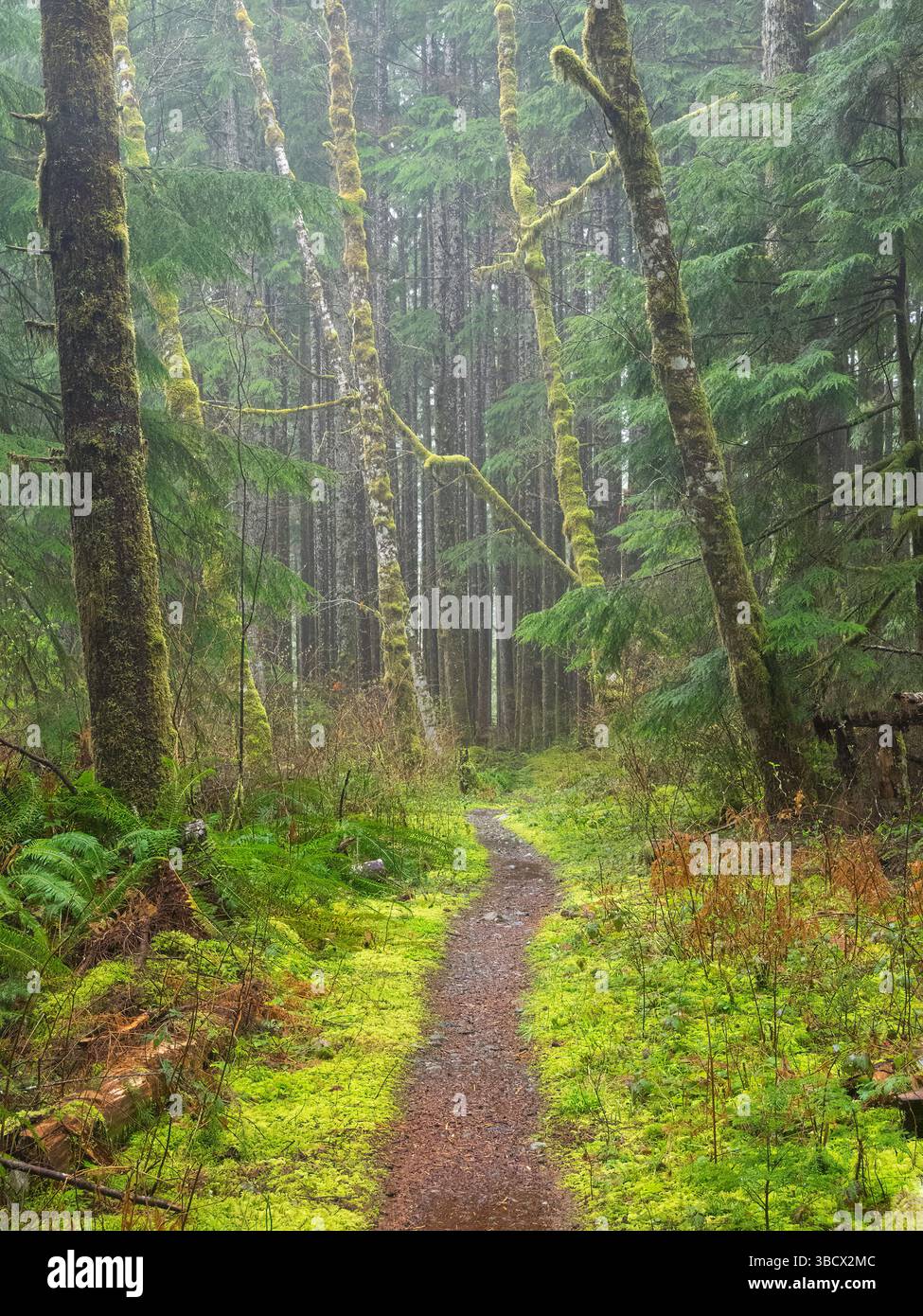 Washington State, Central Cascades. Mount Baker Snoqualmie National ...