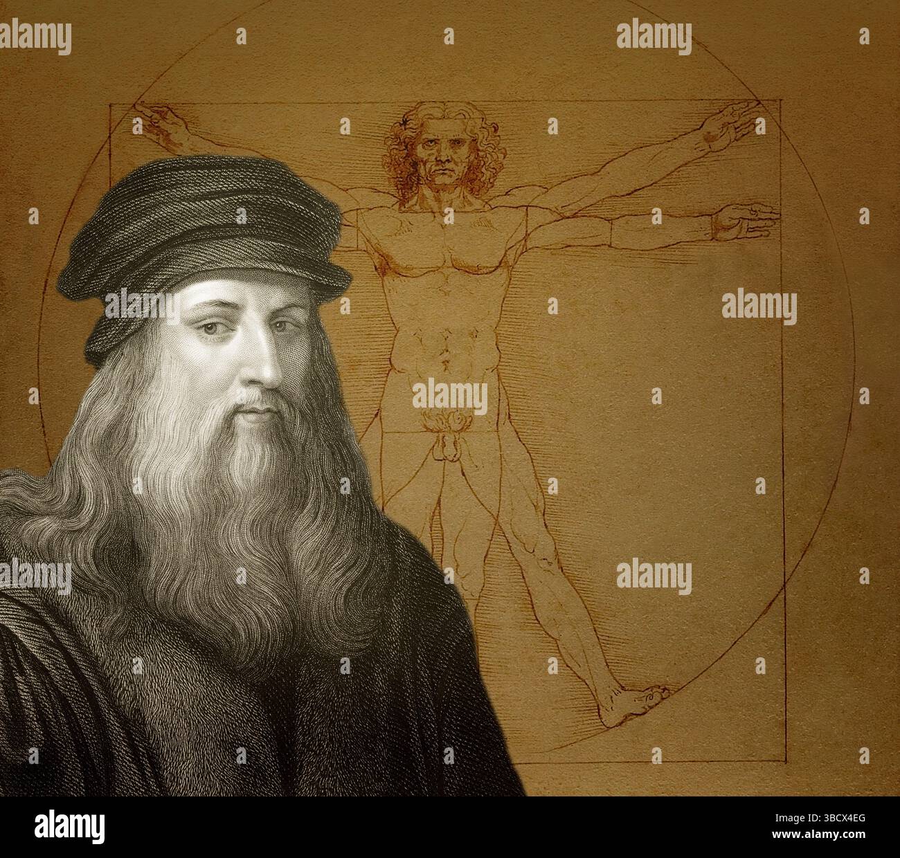 Leonardo vitruvian man hi-res stock photography and images - Alamy