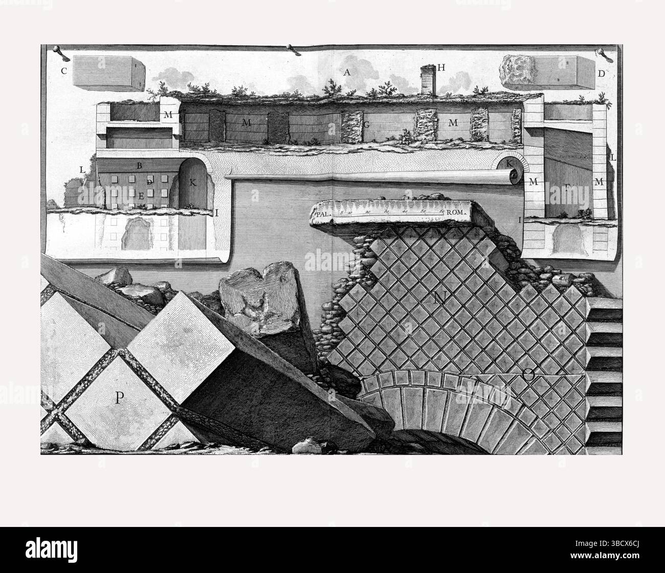 Detailed cross section revealing hi-res stock photography and images ...