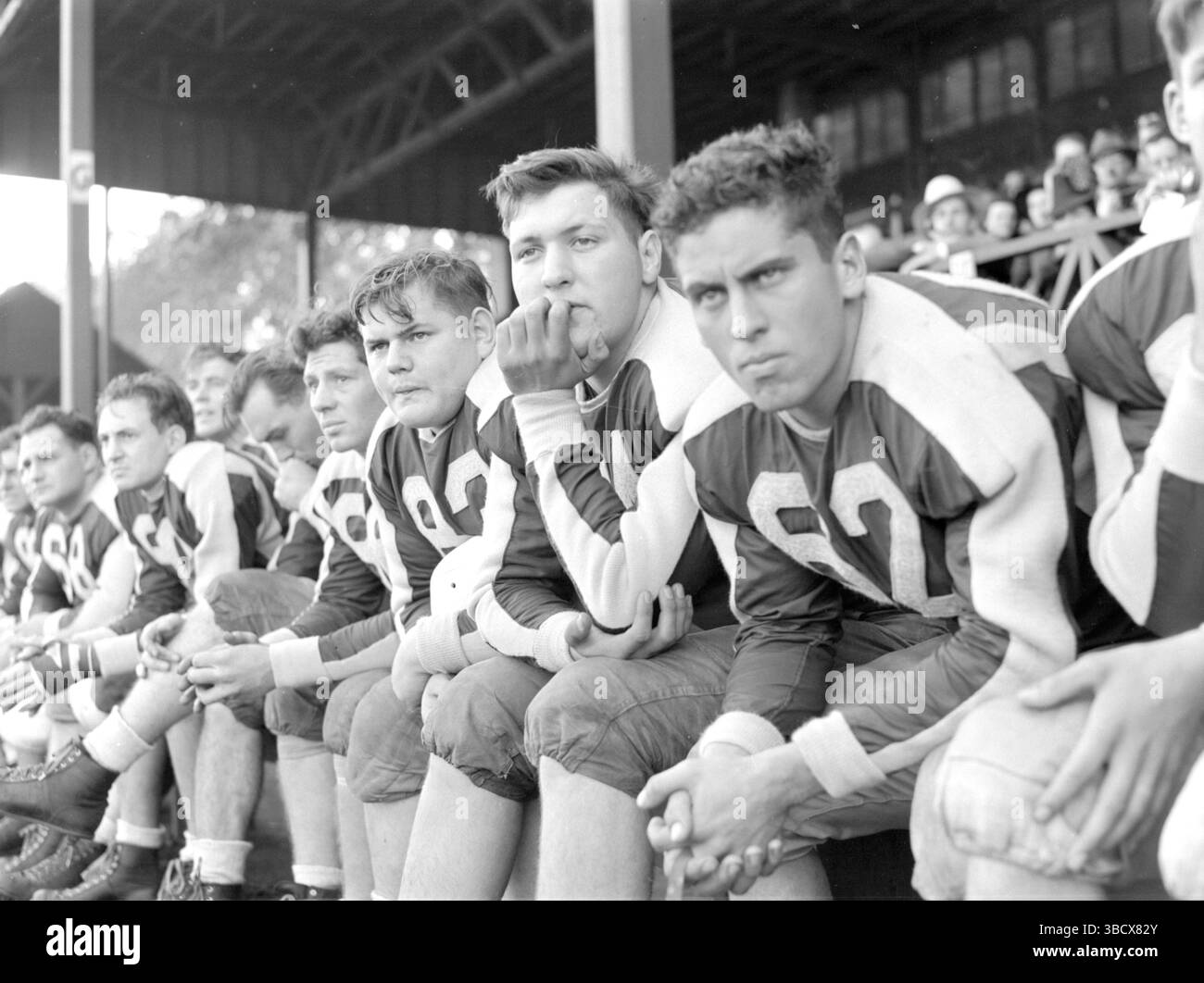 Toronto Argonauts football players on the sidelines. Archive Canadian ...