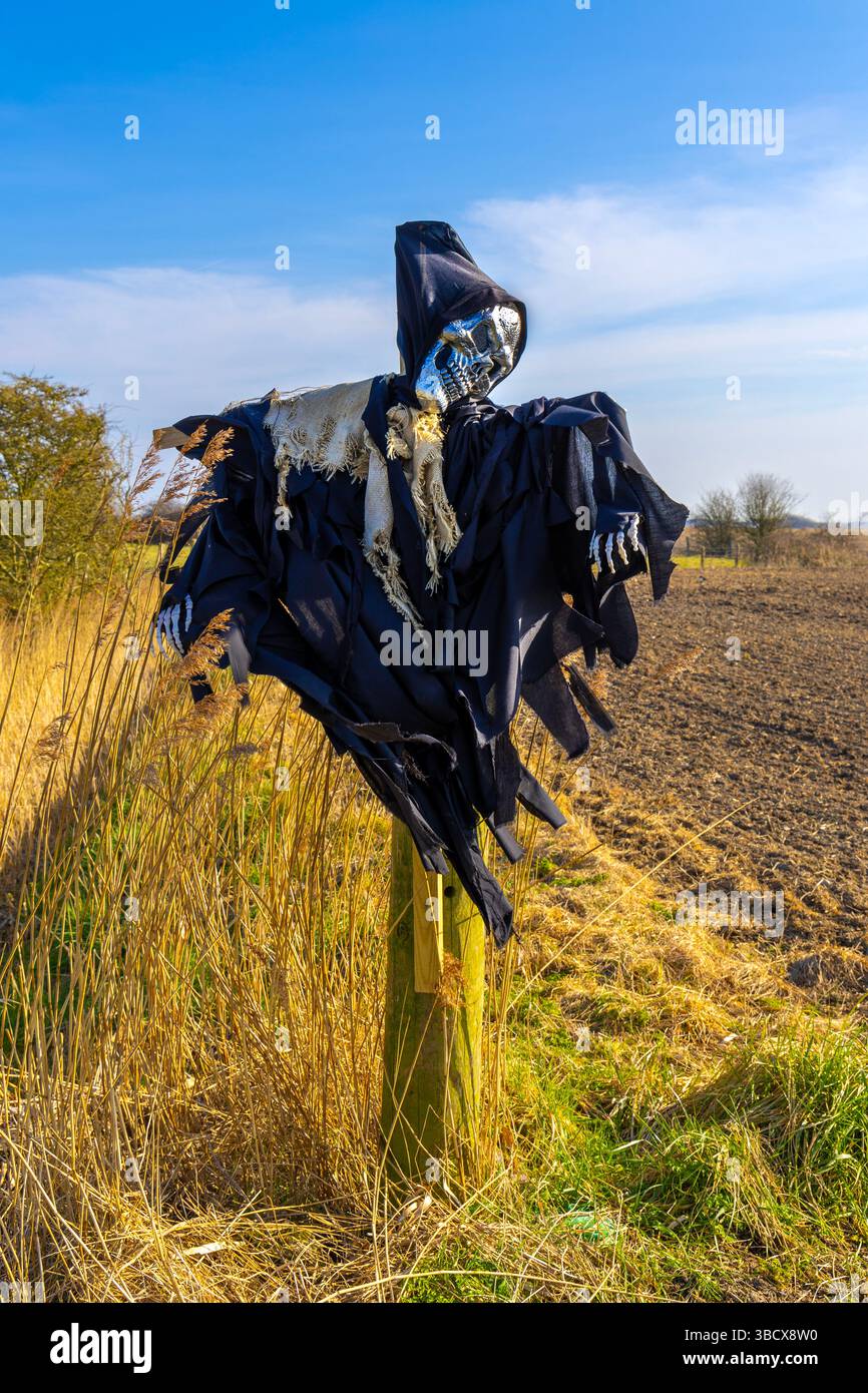 Death the grim reaper hi-res stock photography and images - Alamy