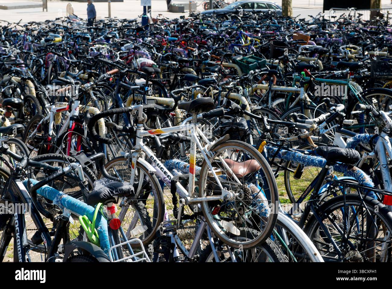 Bikes at Oxford train station Photos by Brian Jordan Stock Photo - Alamy
