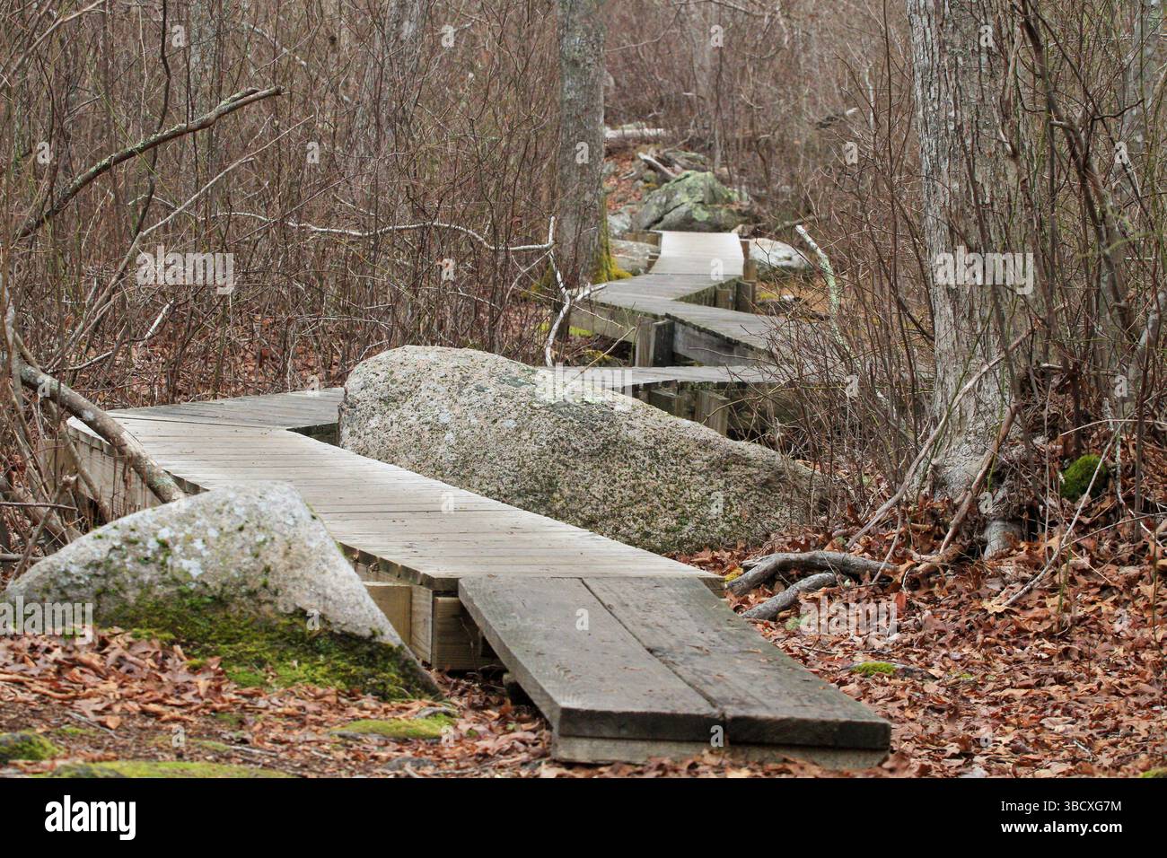 A Northeastern shoreline pathway, with timbered boards, offers a serene ...