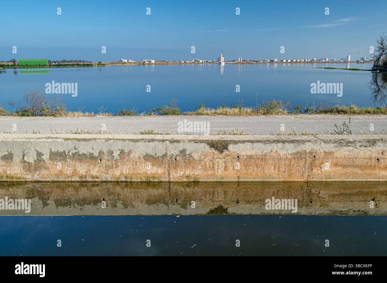 Landscape in the Albufera Natural Park, Valencia, Spain Stock Photo - Alamy