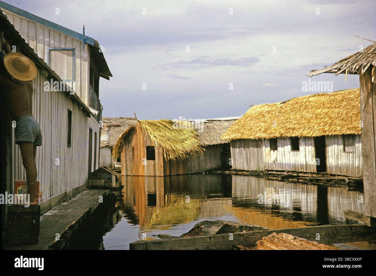 Informal housing built on logs, known as the floating city, Manaus ...
