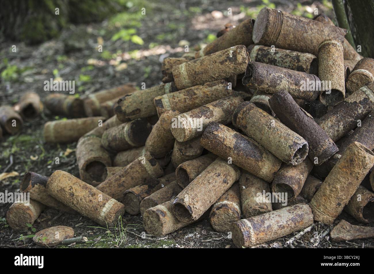 Pile of rusty First World War One artillery grenade shells, dug up in ...