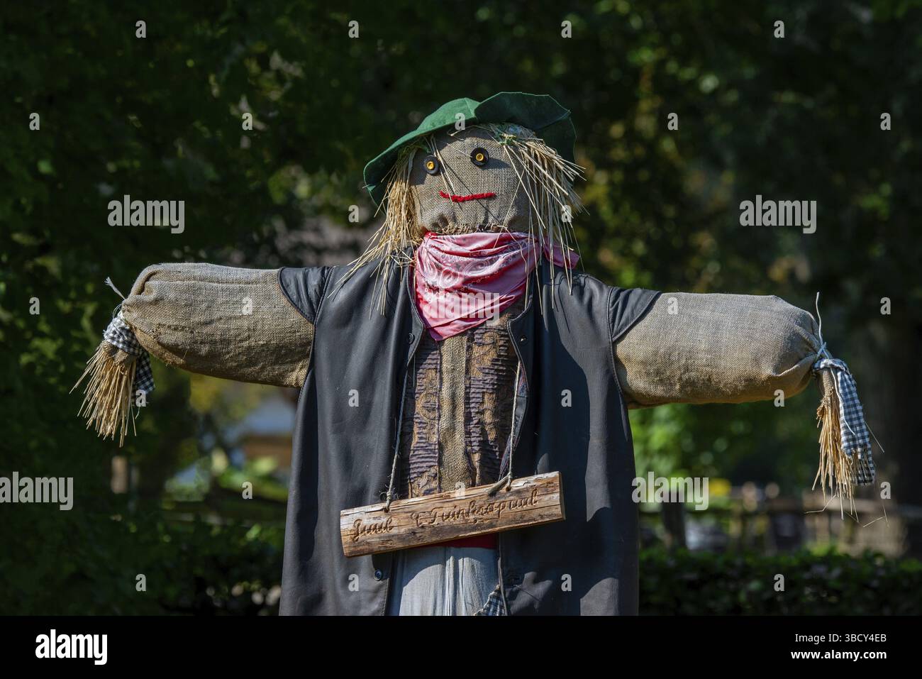 Humanoid scarecrow, bird scarer dressed in old clothes and placed in ...