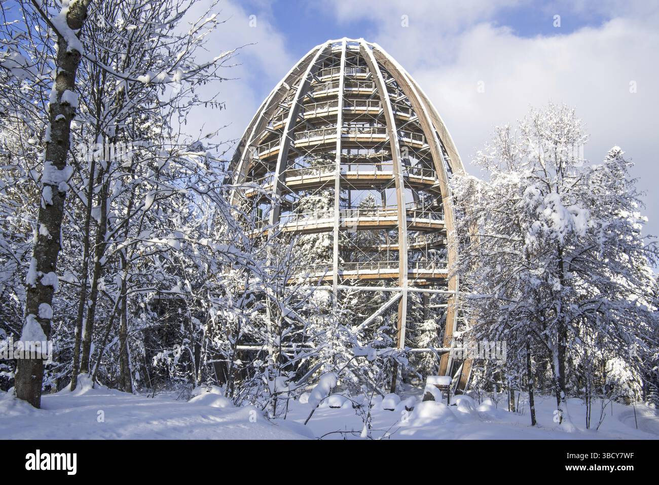 Baumwipfelpfad in winter, wooden tower construction of the worldÂ´s ...