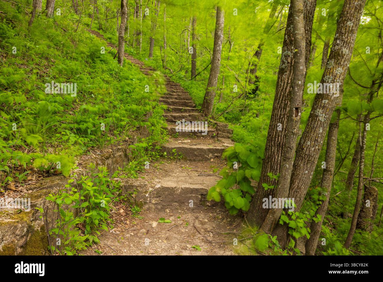 Beautiful stone walkway on windy hi-res stock photography and images ...