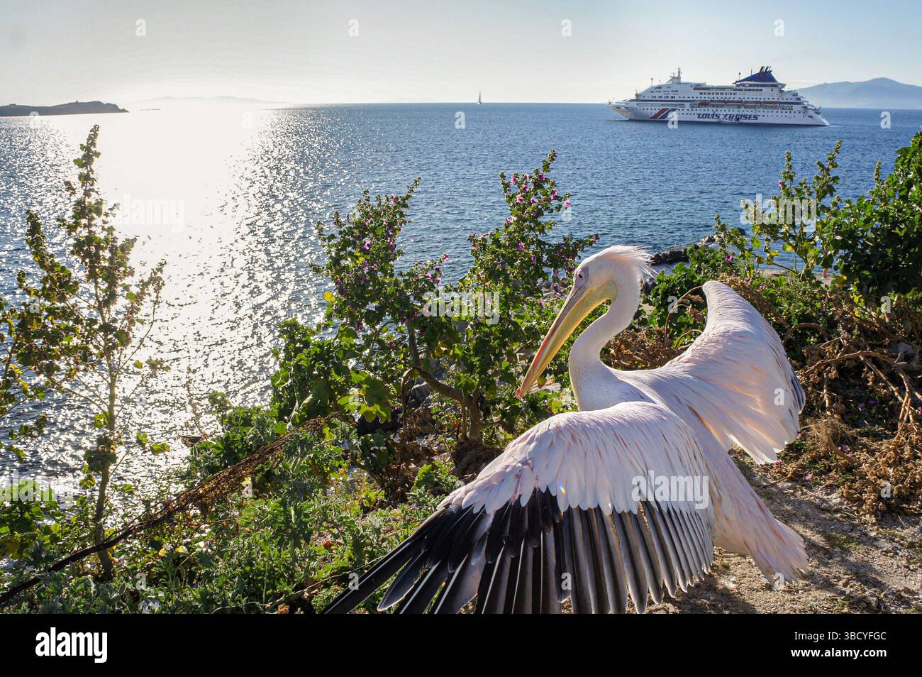 File pic: Alang, India. May 21,2025: The cruise ship LOUIS/CELESTYAL ...