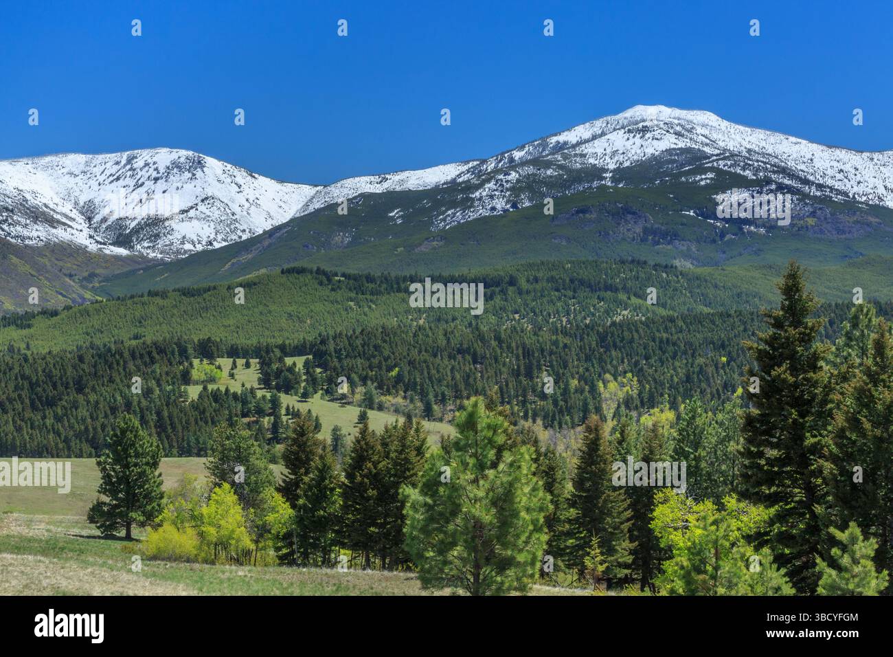 casey peak in the elkhorn mountains near clancy, montana Stock Photo ...