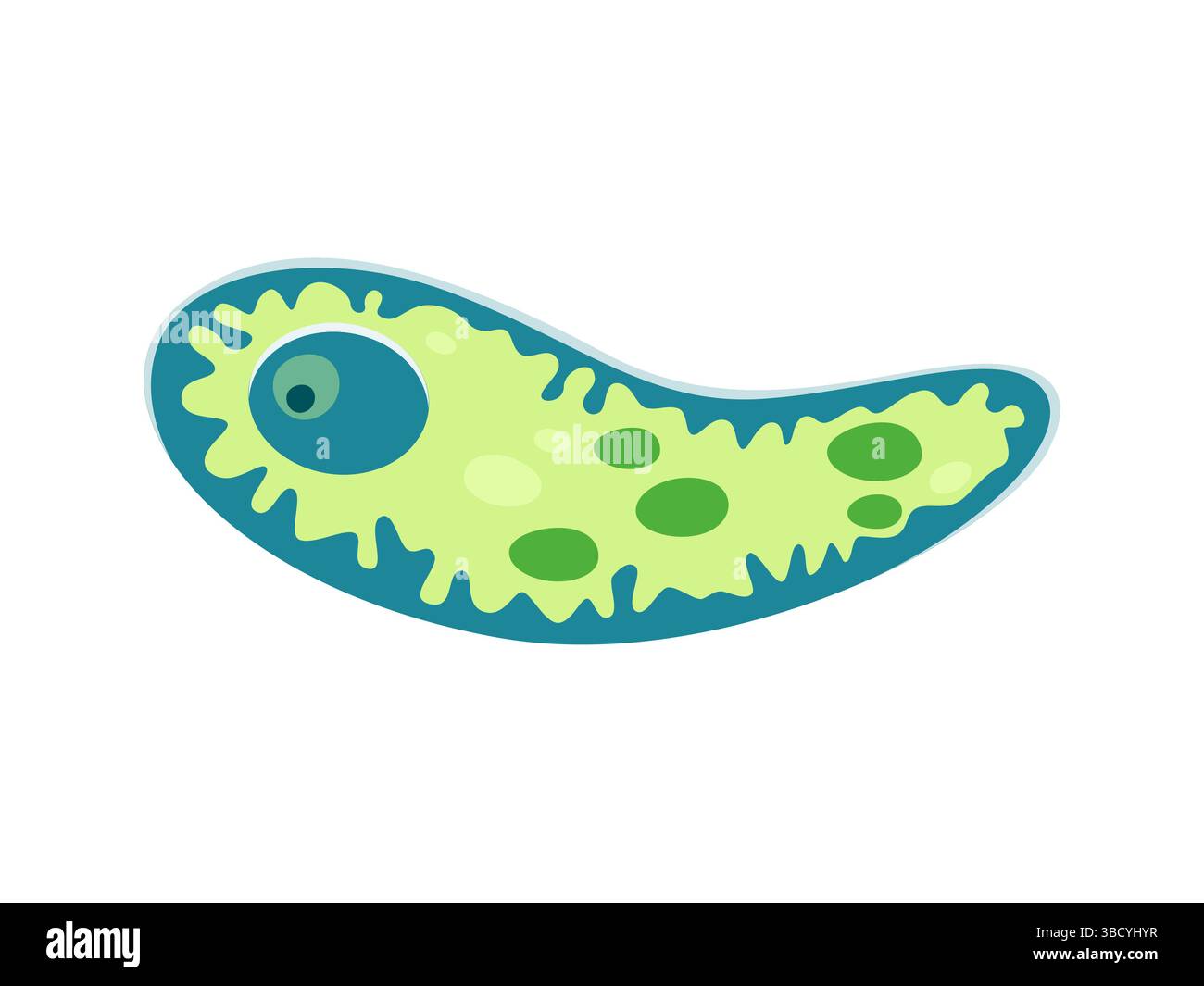 Medical cartoon font microbe cell punctuation dash. Medicine kids ABC ...