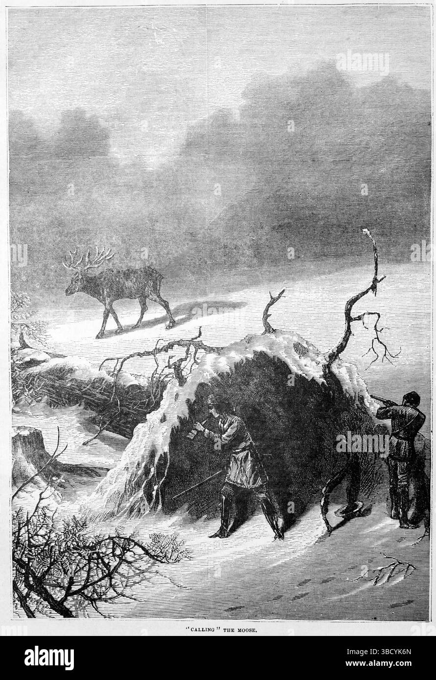 Calling the moose (1878). Depicts the use of a game call during a moose ...