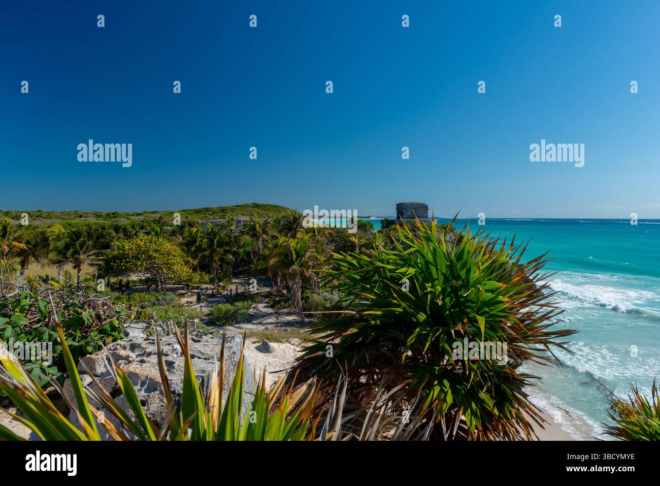 The Mayan Ruins of Tulum during a summer blue sky with some sargassum ...