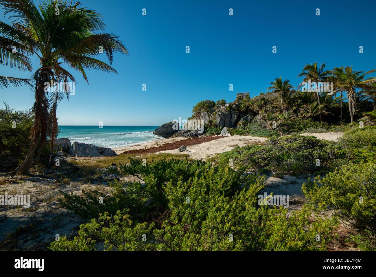 The Mayan Ruins of Tulum during a summer blue sky with some sargassum ...