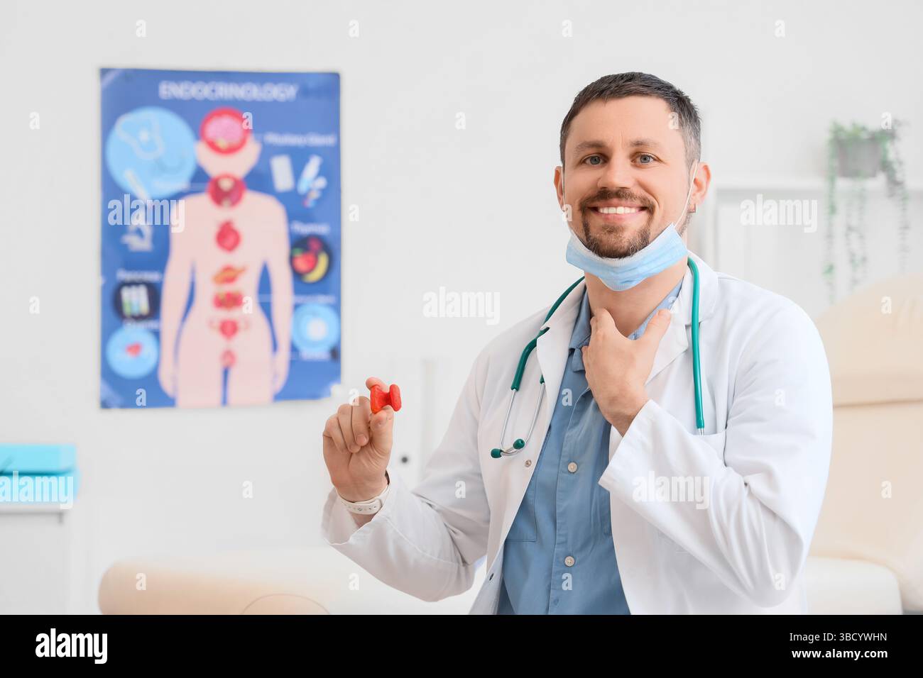 Male endocrinologist with thyroid gland model in clinic Stock Photo - Alamy
