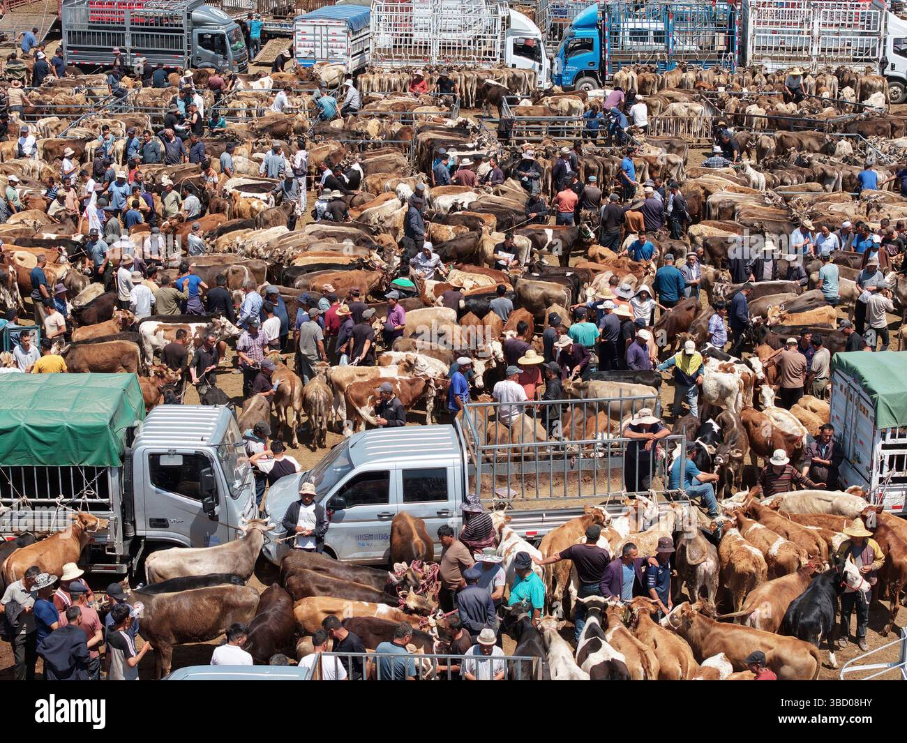 People trade livestock at Huanggong Bazaar in Yining county in ...