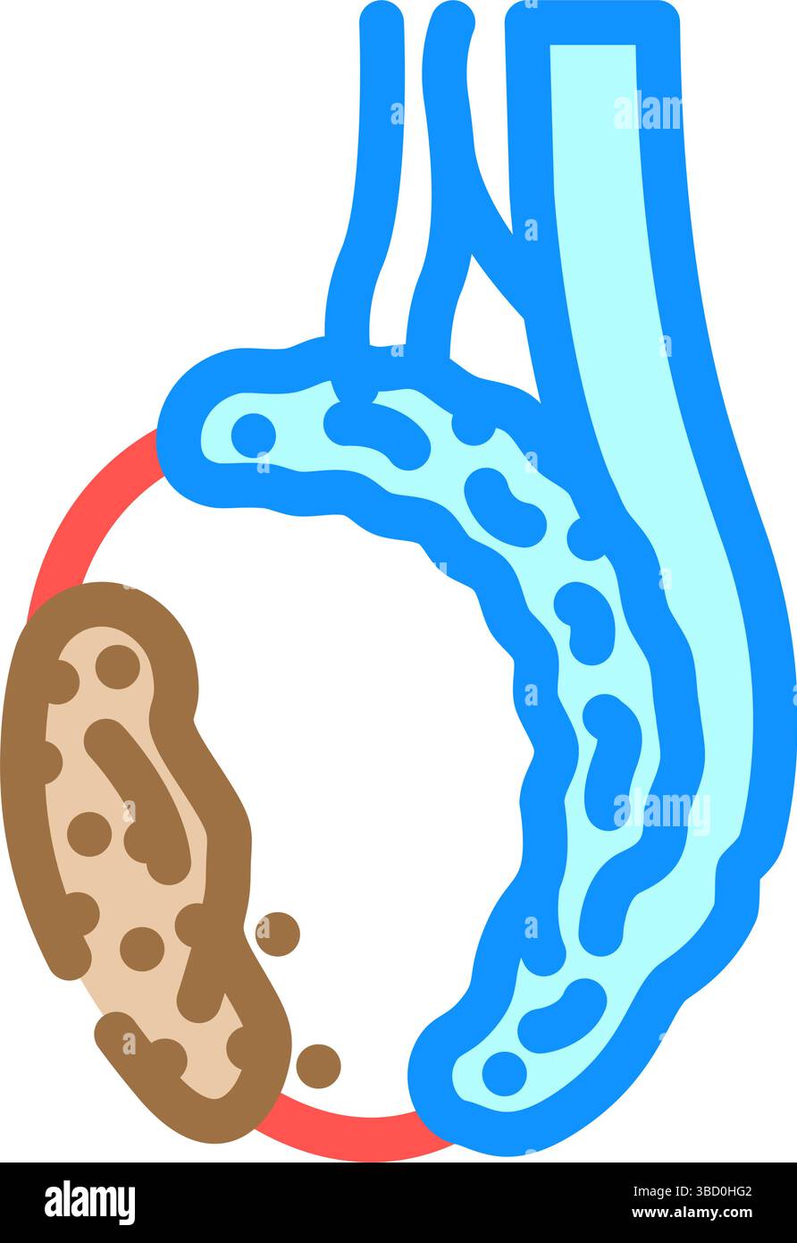 testicular cancer urology color icon vector illustration Stock Vector ...