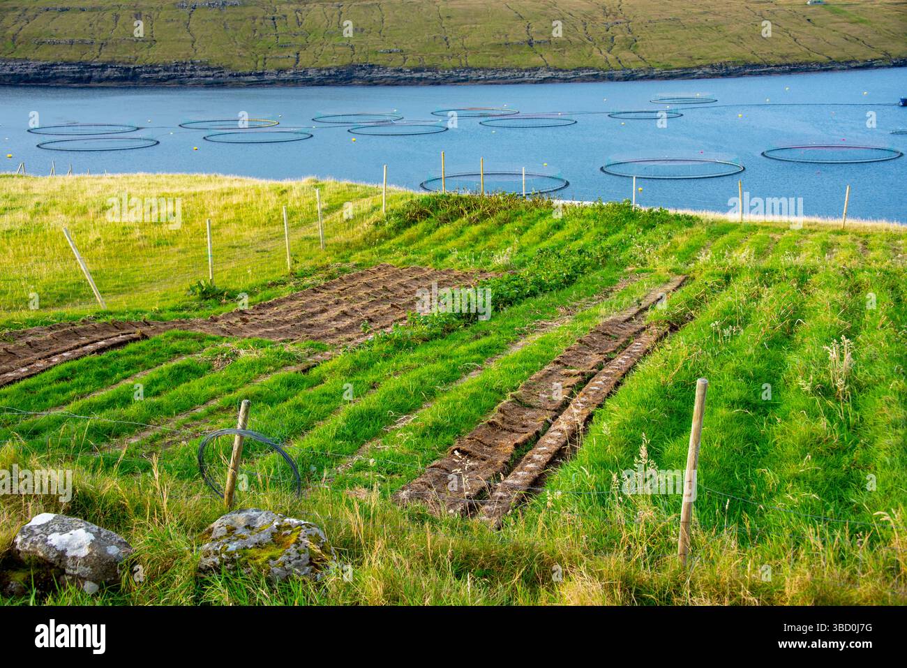 Agricultural Field in Faroe Islands Stock Photo - Alamy