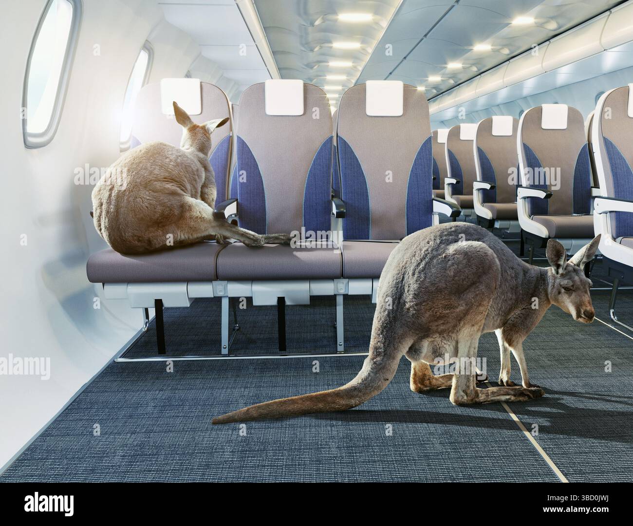 Kangaroo sitting in modern airplane cabin interior. 3D rendering Stock ...