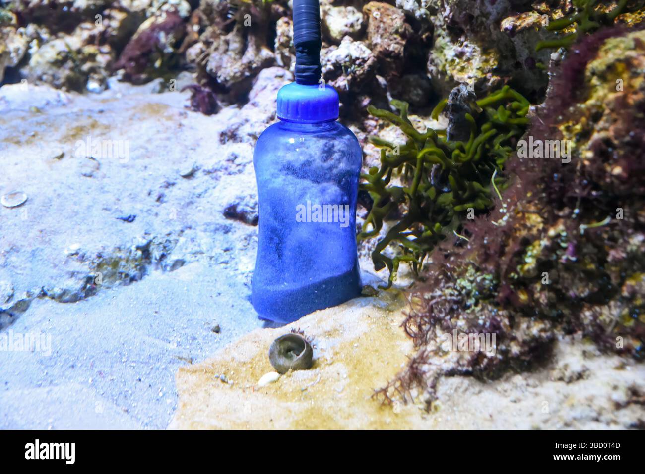 Bottomcleaner hi-res stock photography and images - Alamy