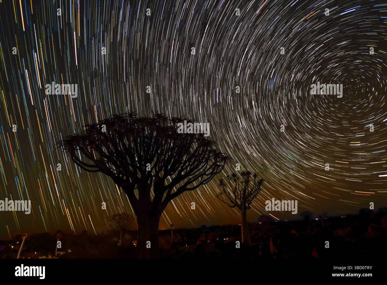 Circular star trails over forest hi-res stock photography and images ...