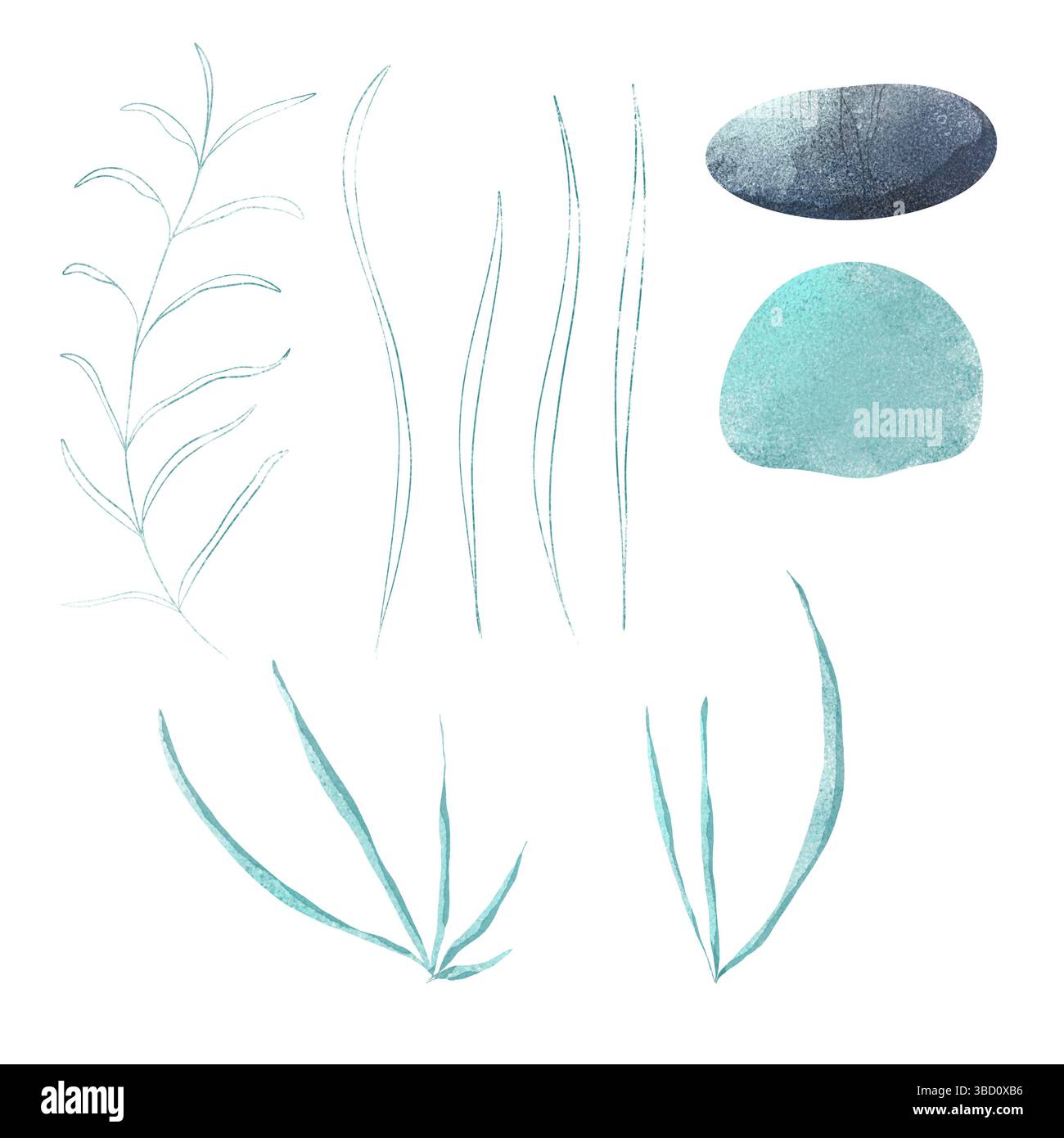 Silhouette and line art of seaweed and pebbles in a watercolor style ...
