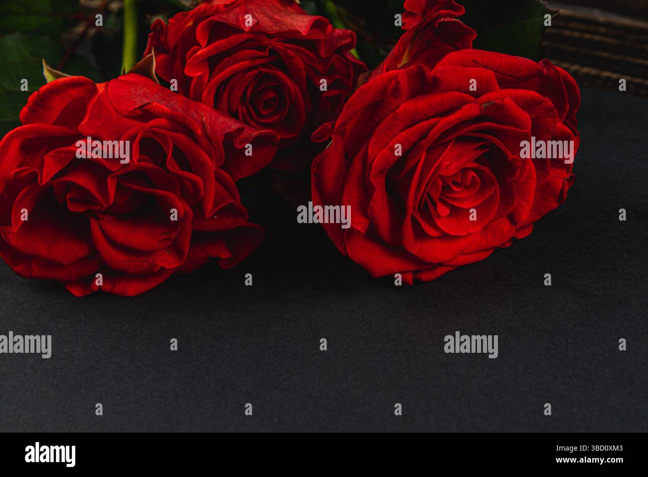 Three vibrant red roses are artistically arranged on a deep black ...