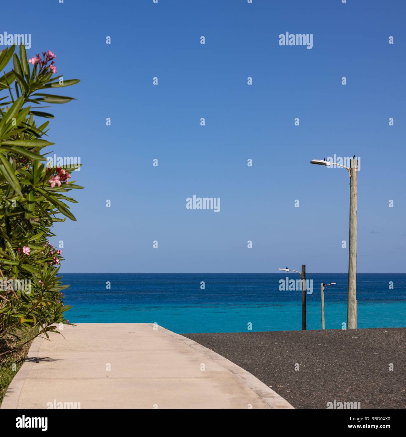 A coastal sidewalk leading toward the blue ocean in Bermuda, with pink ...