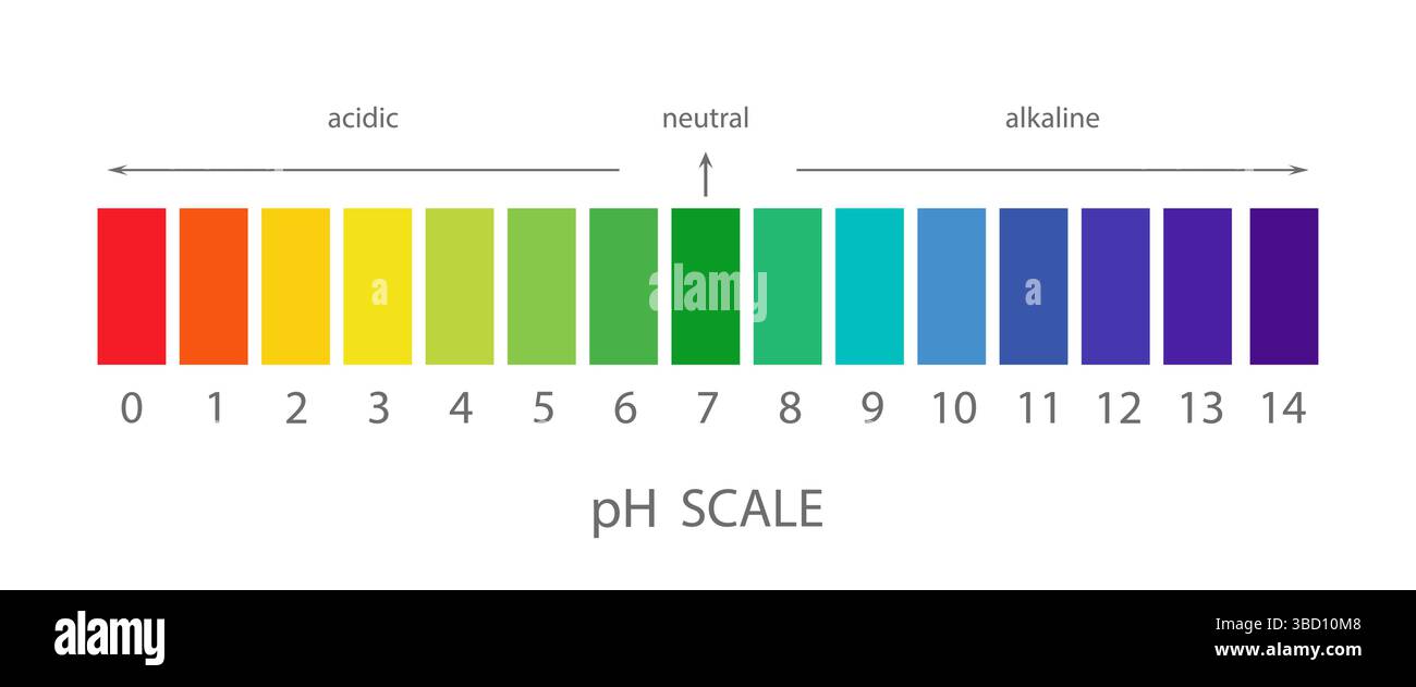 PH Scale. Gauge for acid and alkaline balance. Scale indicator for ...