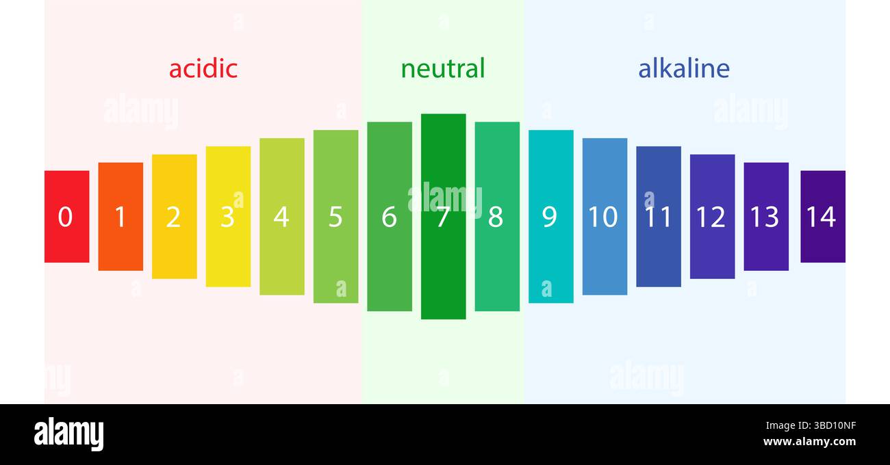 PH Scale. Acid and alkaline solution infographic. Chemical analysis or ...