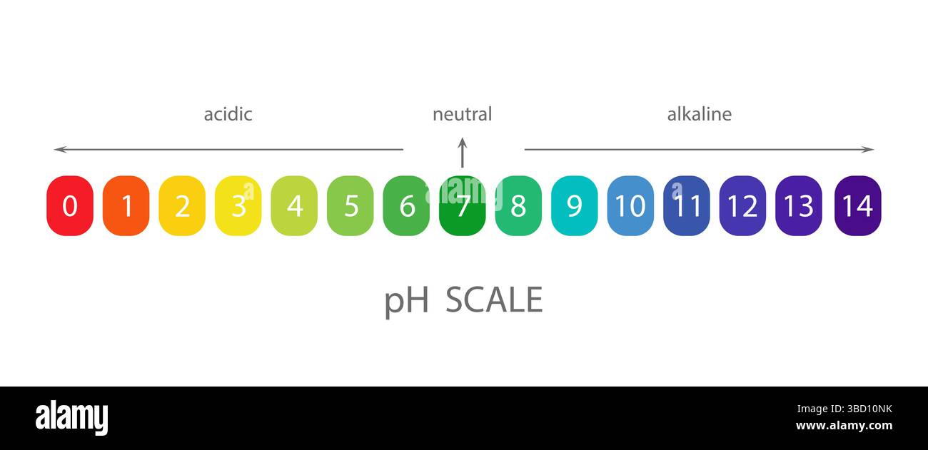 PH Scale. Acidic and alkaline measure. Scale indicator for litmus paper ...