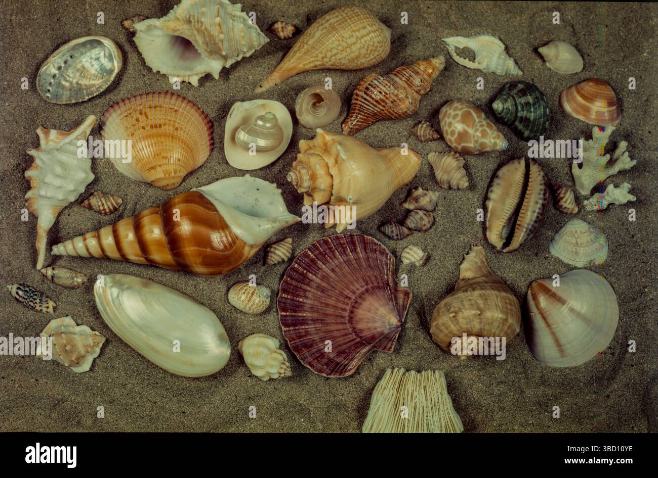 Composed of various materials hi-res stock photography and images - Alamy