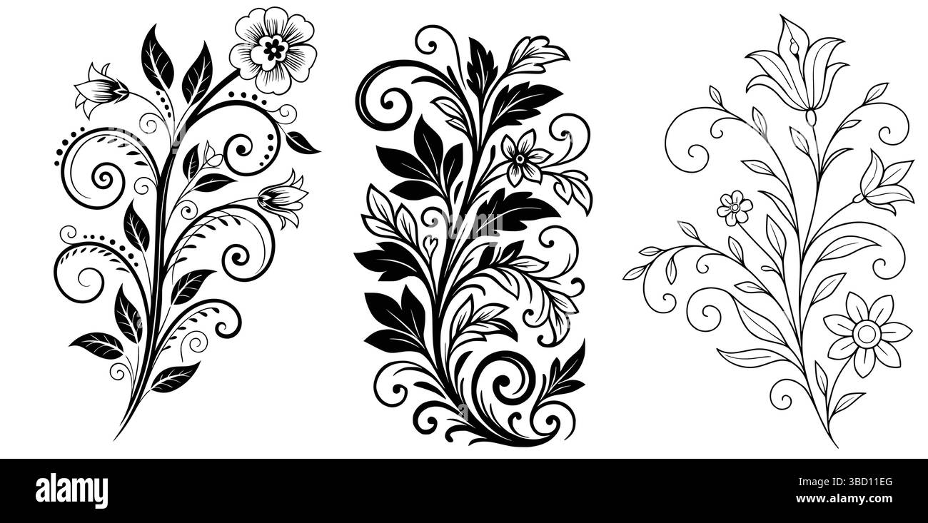 vector scrollwork
