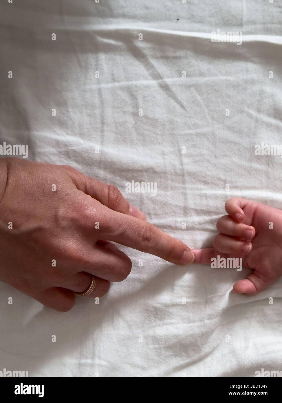 Life stages baby to adult hi-res stock photography and images - Alamy