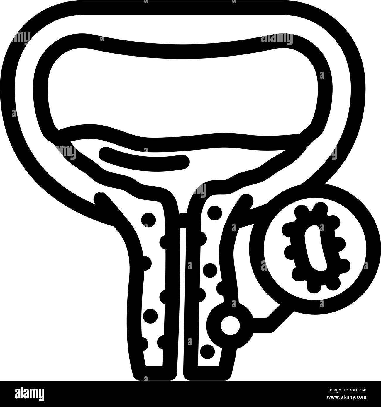 urethritis urology line icon vector illustration Stock Vector Image ...