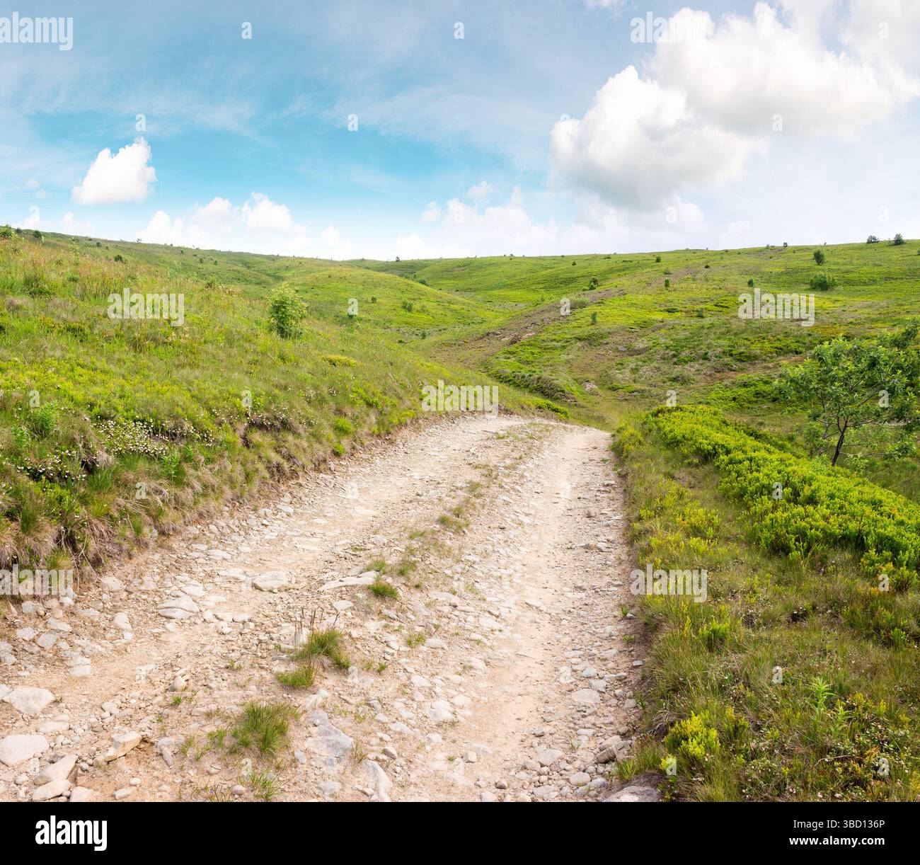 country road through grassy hills. travel destination. scenery in ...