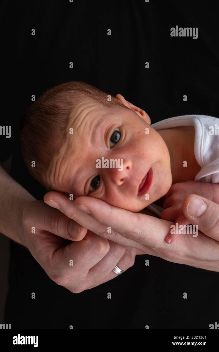 Newborn Baby Cradled in Hand Stock Photo - Alamy