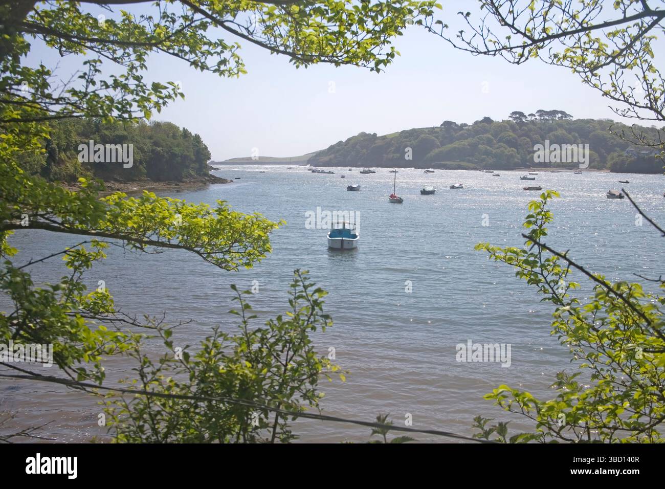 St Anthony in meneage on the helford river Cornwall Stock Photo - Alamy