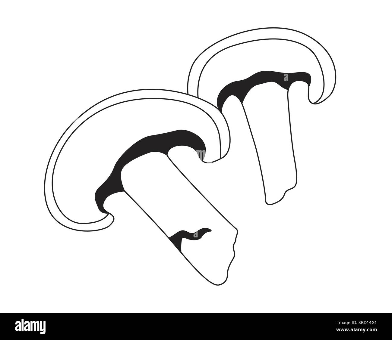 Mushrooms icon outline black Stock Vector Images - Alamy