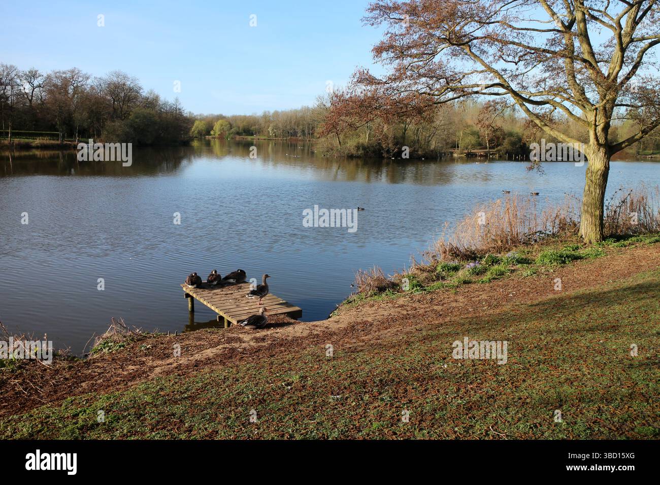Arrow Valley Country Park lake, Redditch, Worcestershire, England, UK ...