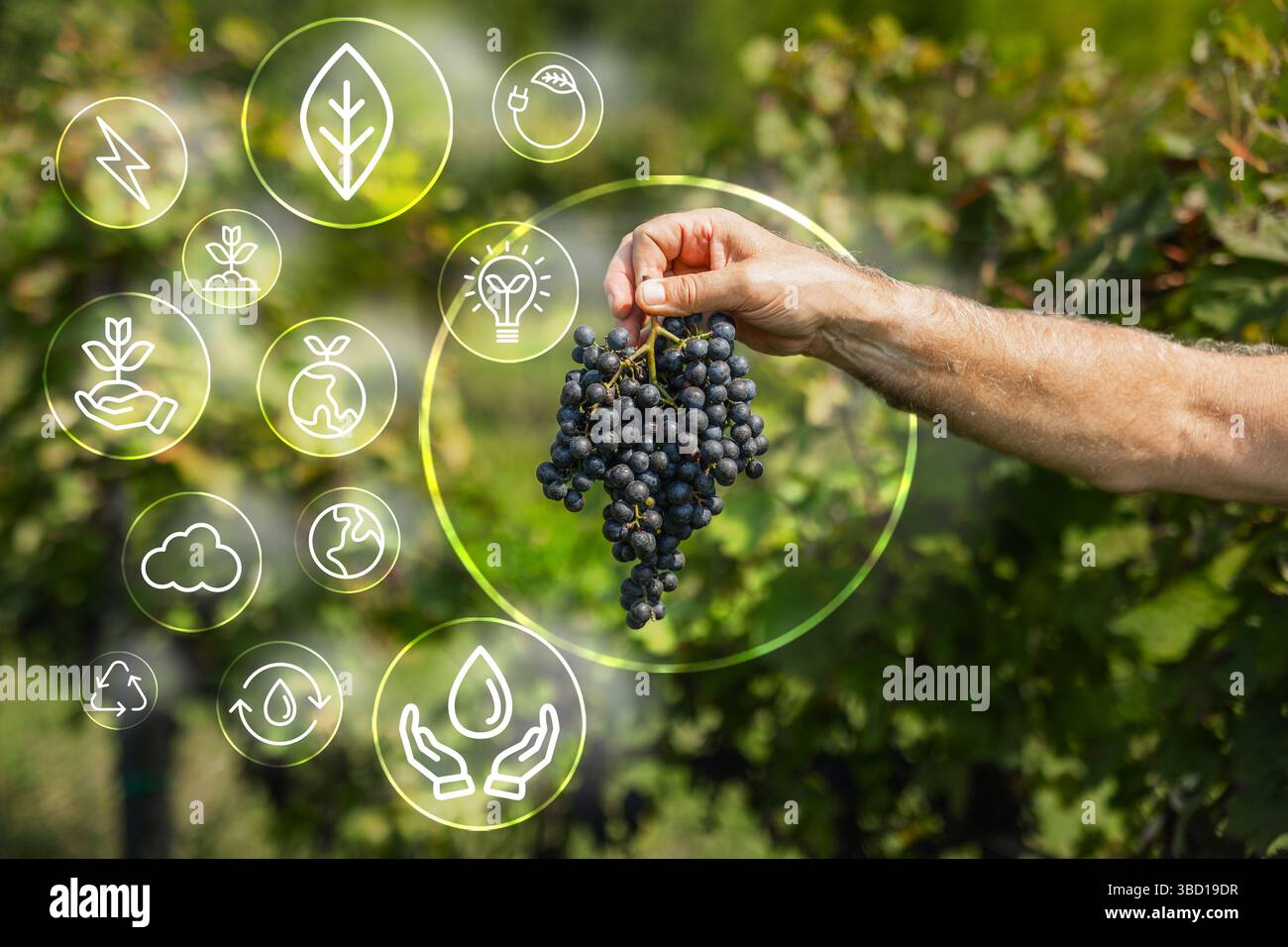 Emphasizing the connection between human effort and nature, this image ...