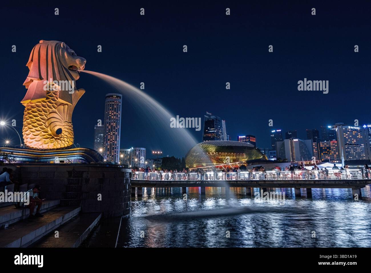 Merlion symbol of Singapore fountain at night Stock Photo - Alamy
