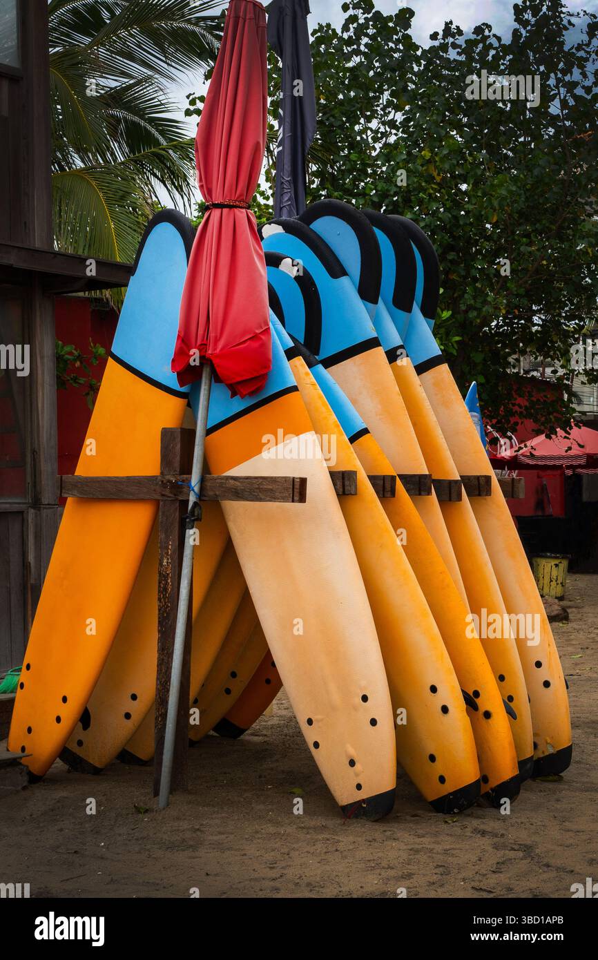 Row of surfboards are stacked up in a row. The surfboards are yellow ...