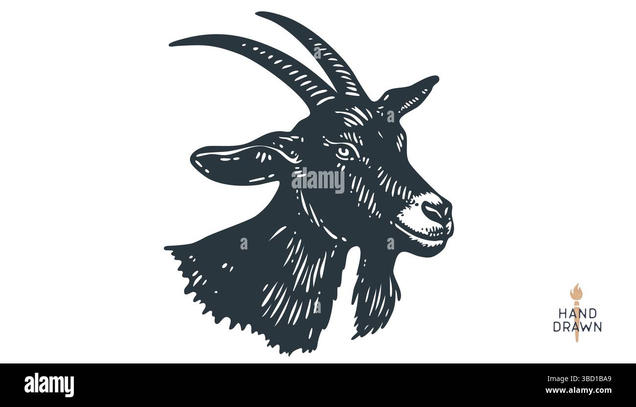 Line drawing head white goat hi-res stock photography and images - Alamy